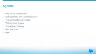 Apex Testing and Best Practices | PPTX