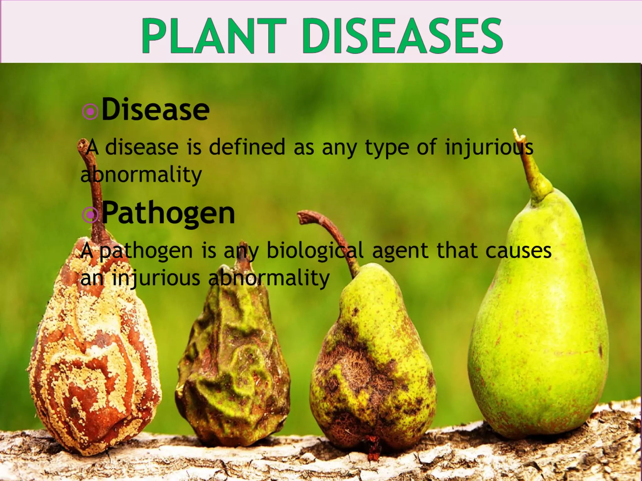 classification of plants Diseases | PPT
