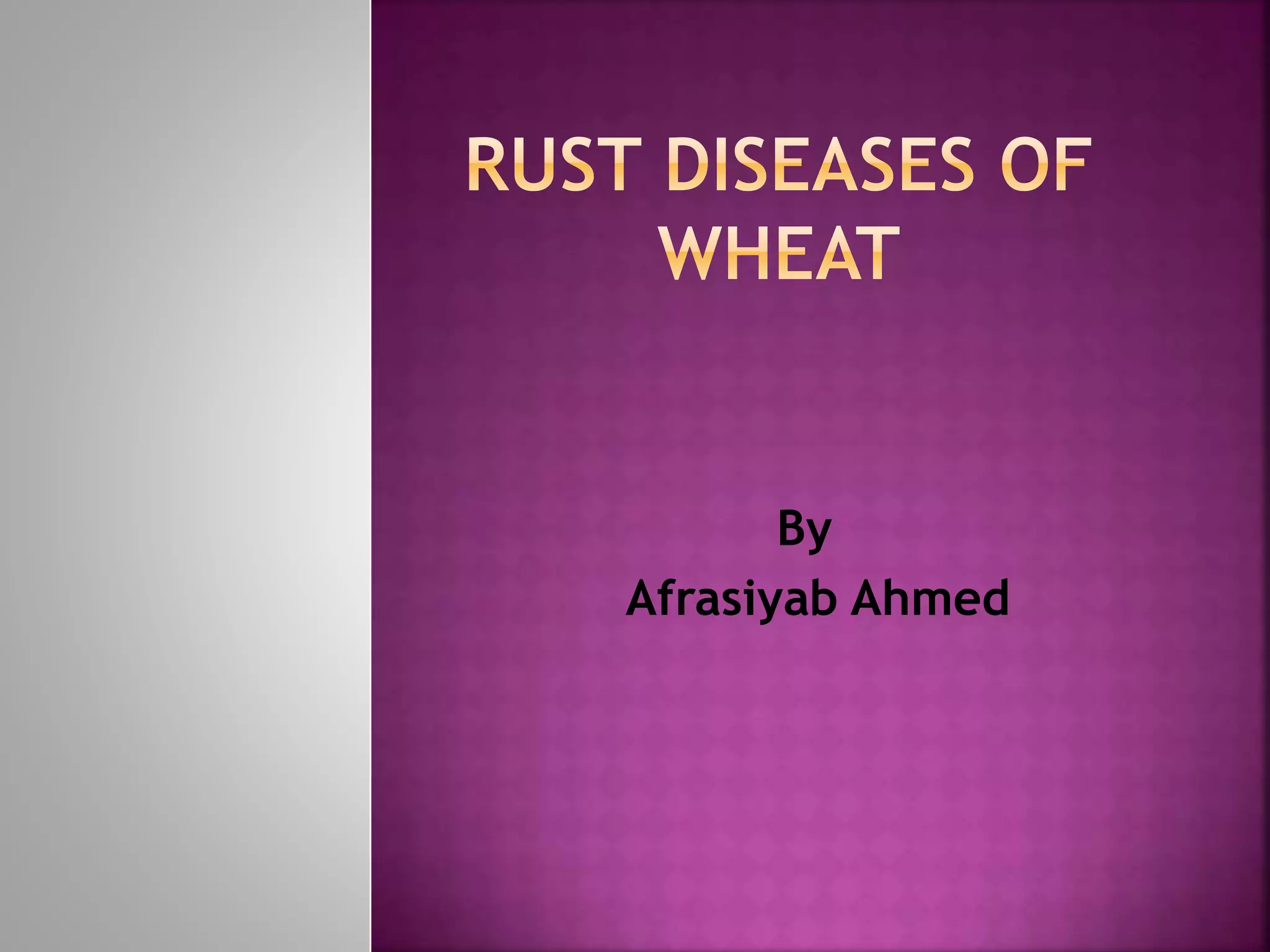rust of Wheat | PPTX