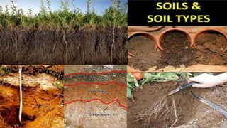 Soil and its types | PPTX