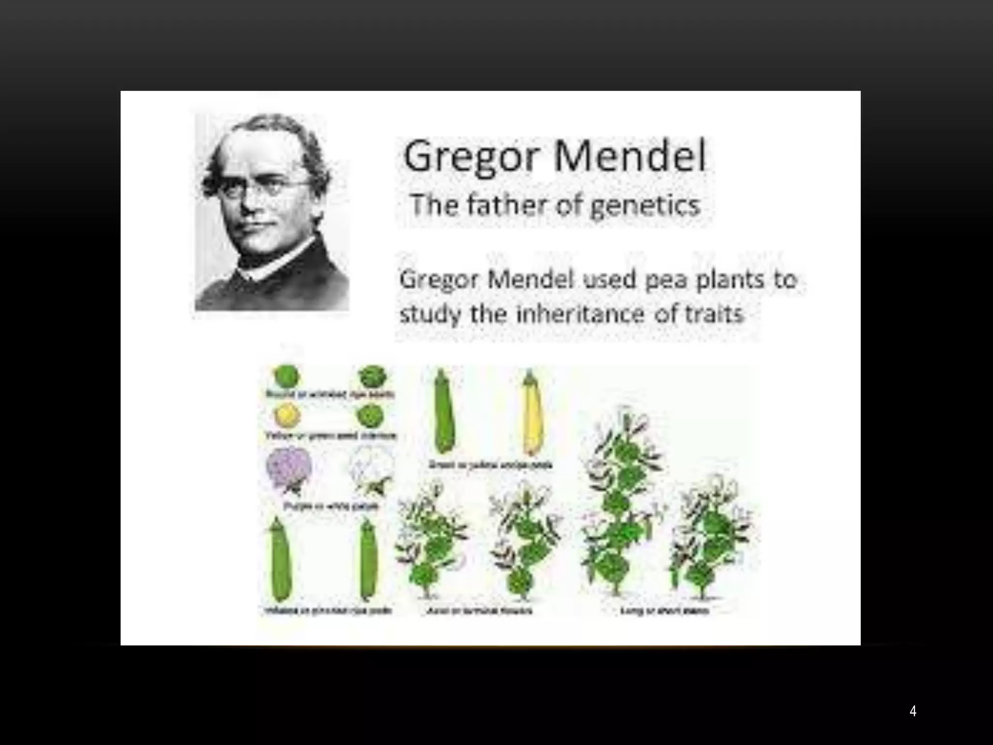 Extensions of mendelian inheritance | PPTX