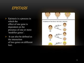 Extensions of mendelian inheritance | PPTX