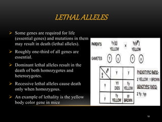 Extensions of mendelian inheritance | PPTX