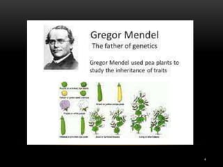 Extensions of mendelian inheritance | PPTX
