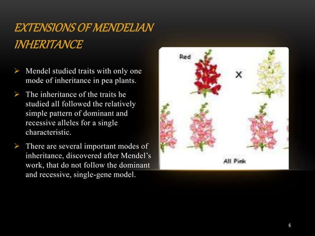 Extensions of mendelian inheritance | PPTX | Genetics | Science