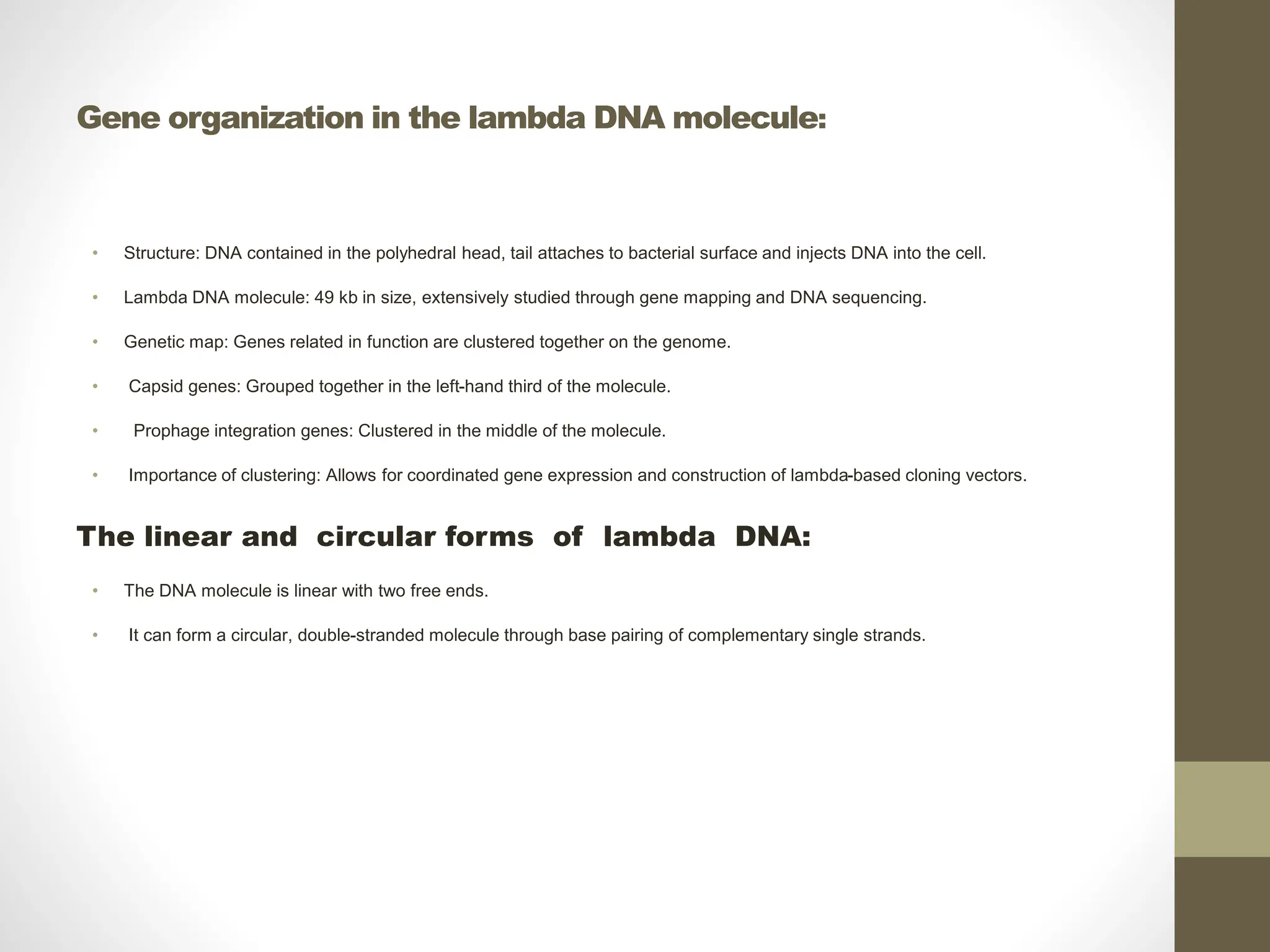 BOT-605 Asif Saeed course of advance gentics.pptx