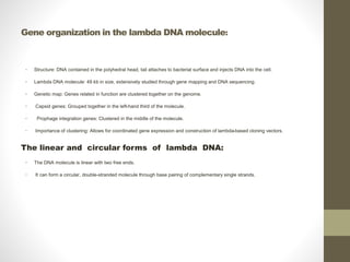 BOT-605 Asif Saeed course of advance gentics.pptx