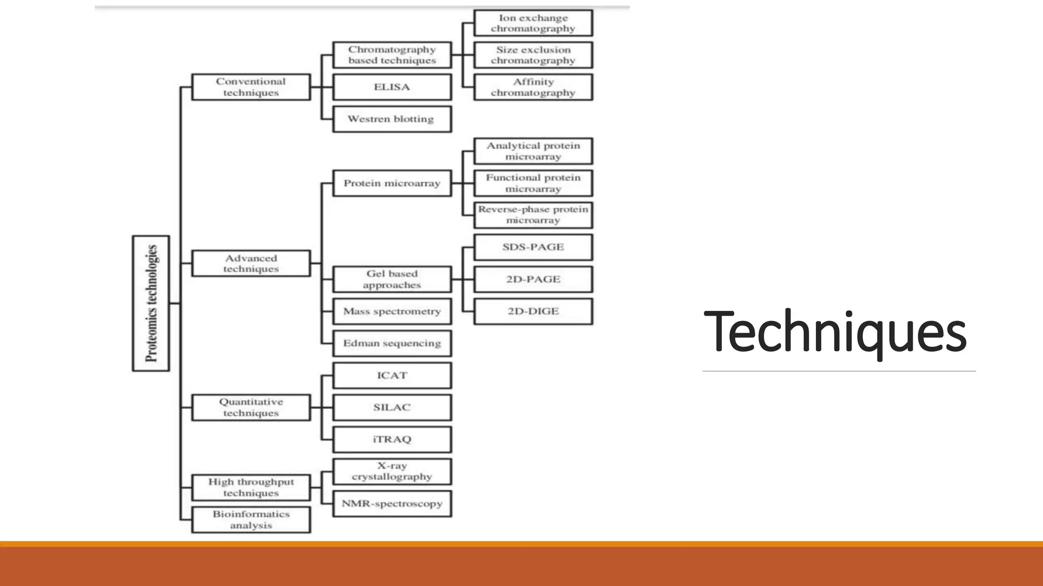PROTEOMICS INTRODUCTION AND TECHNIQUES | PPTX
