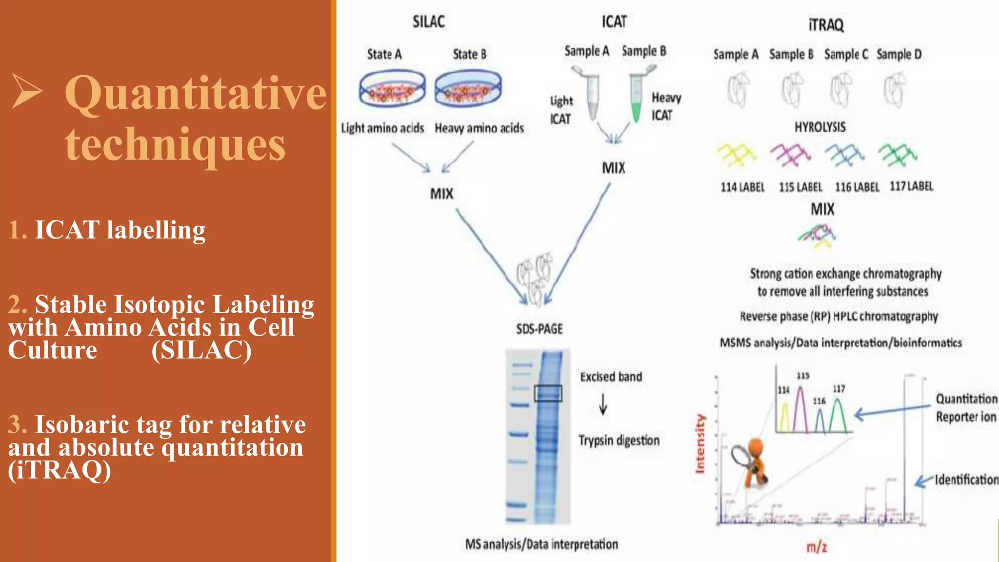 PROTEOMICS INTRODUCTION AND TECHNIQUES | PPTX