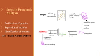 PROTEOMICS INTRODUCTION AND TECHNIQUES | PPTX