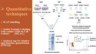 PROTEOMICS INTRODUCTION AND TECHNIQUES | PPTX