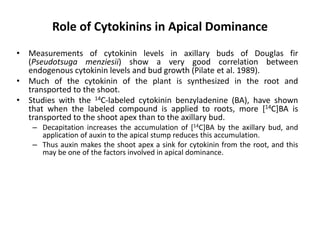 Introduction and Biosynthesis of Cytokinin | PPT