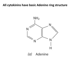 Introduction and Biosynthesis of Cytokinin | PPT