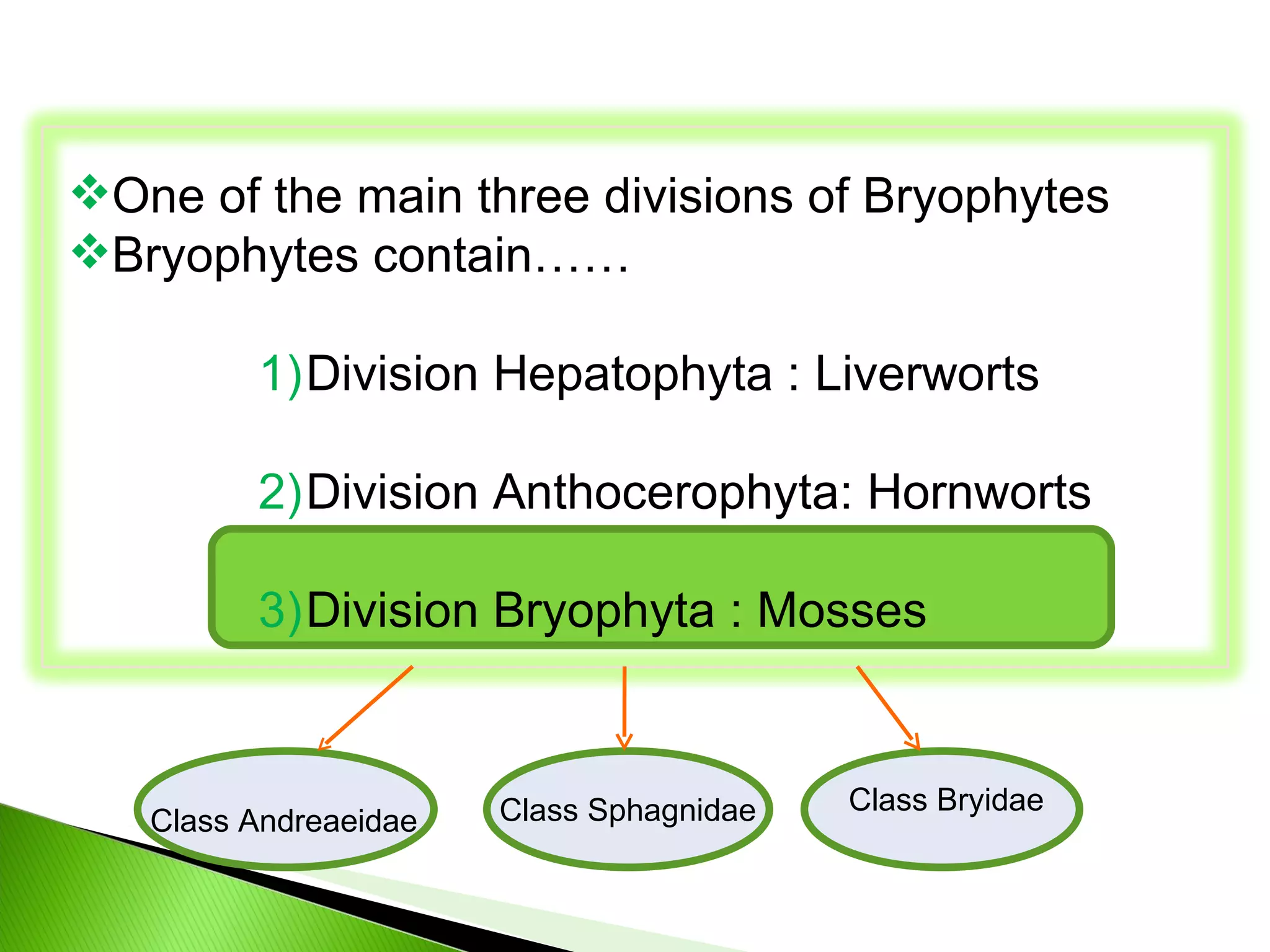Structural variations in reproductive structures of division Bryophyta ...