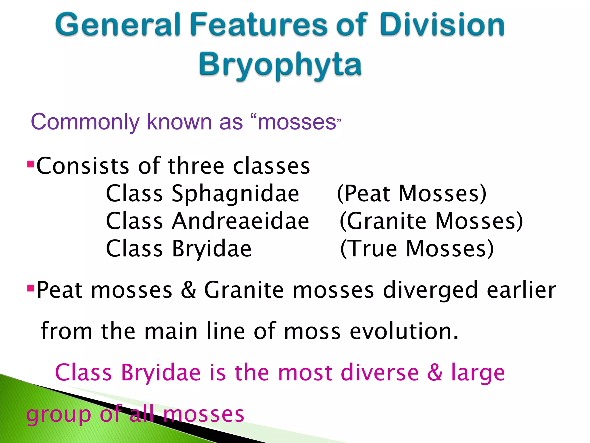 Structural variations in reproductive structures of division Bryophyta ...