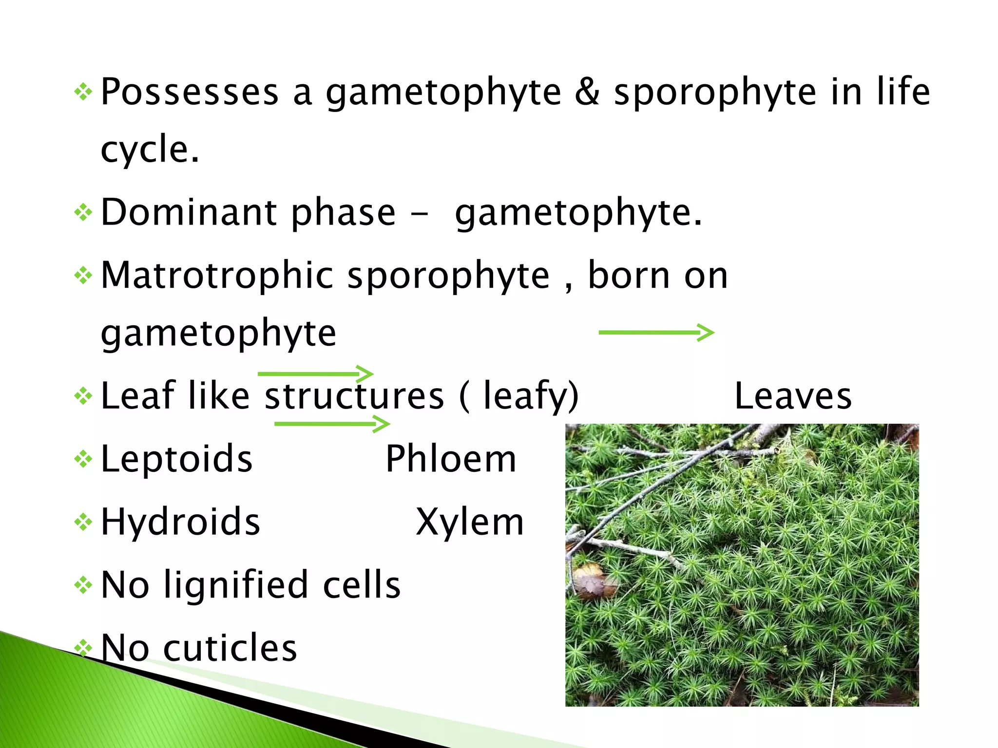 Structural variations in reproductive structures of division Bryophyta ...