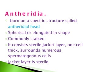 Structural variations in reproductive structures of division Bryophyta ...