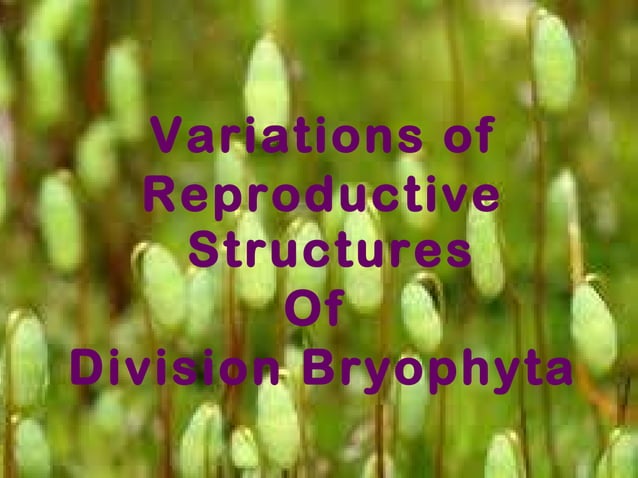 Structural variations in reproductive structures of division Bryophyta ...