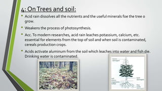 acid rain Botany | PPT