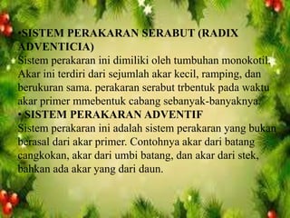 Botani akar | PPTX