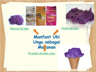 Botani:Peranan Tumbuhan bagi Kehidupan dalam Aspek Makanan: Ubi Ungu | PPTX