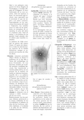 Botánica indigena de chile | PDF