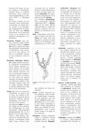 Botánica indigena de chile | PDF