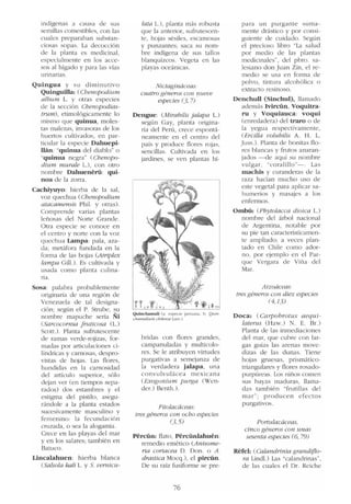 Botanica indigena de Chile | PDF
