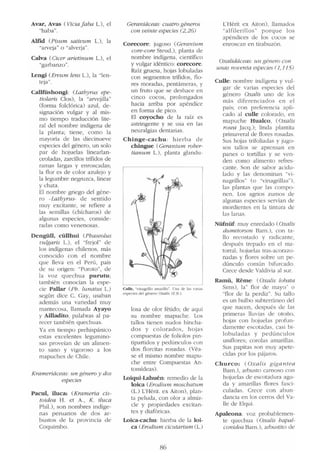 Botanica indigena de Chile | PDF