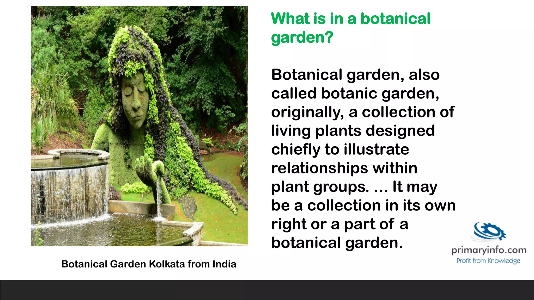 Botanical garden | PDF