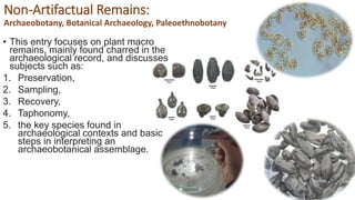 Botanical Archaeology_M.A. Sem. II_Material Remains.ppt