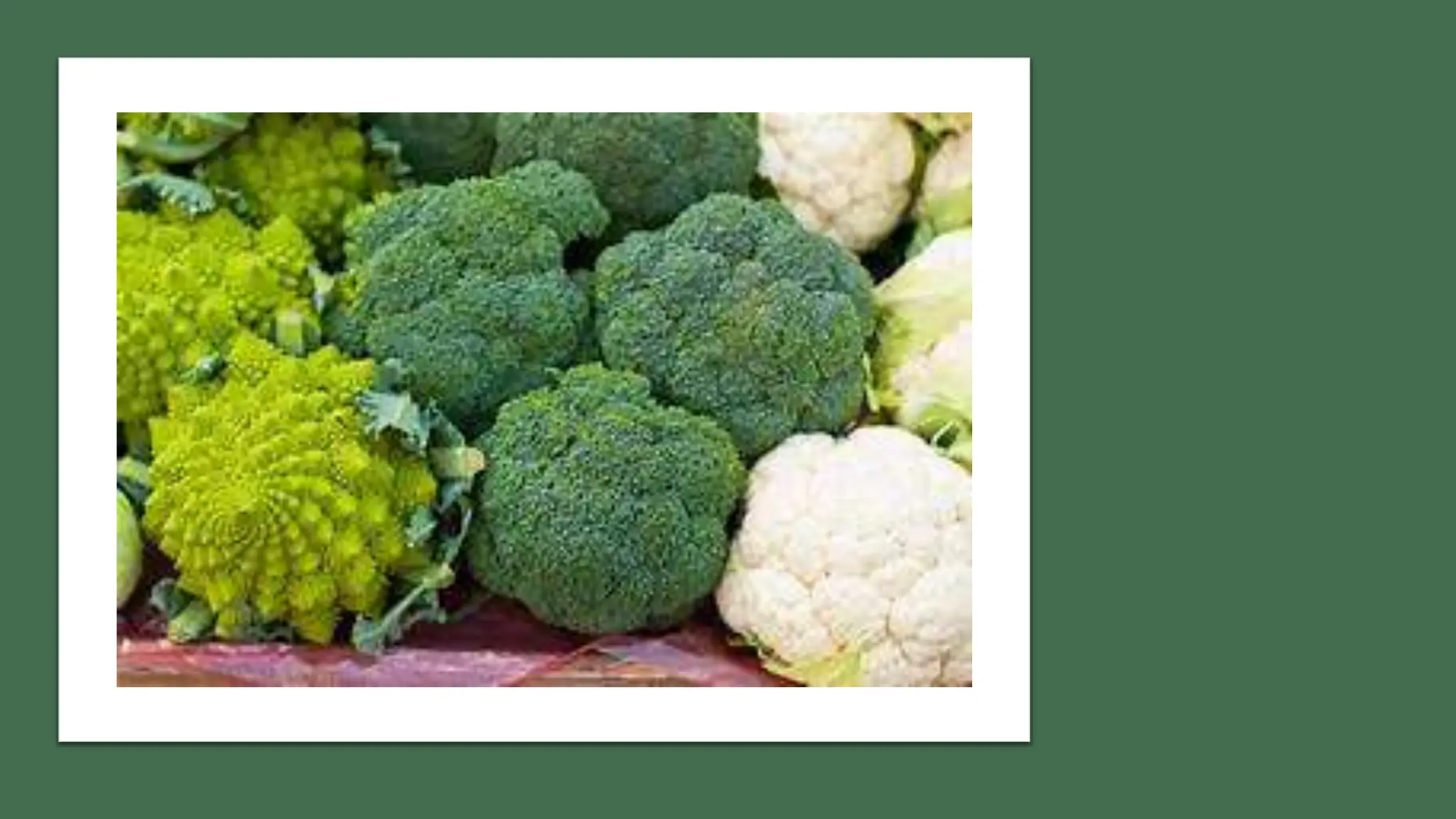 Horticulture BOTANICAL CLASIFICATION.pptx