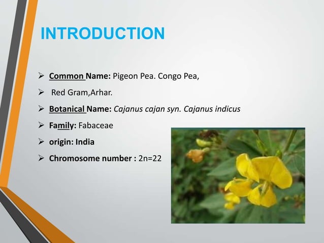 botanical description of pigeon pea.pptx