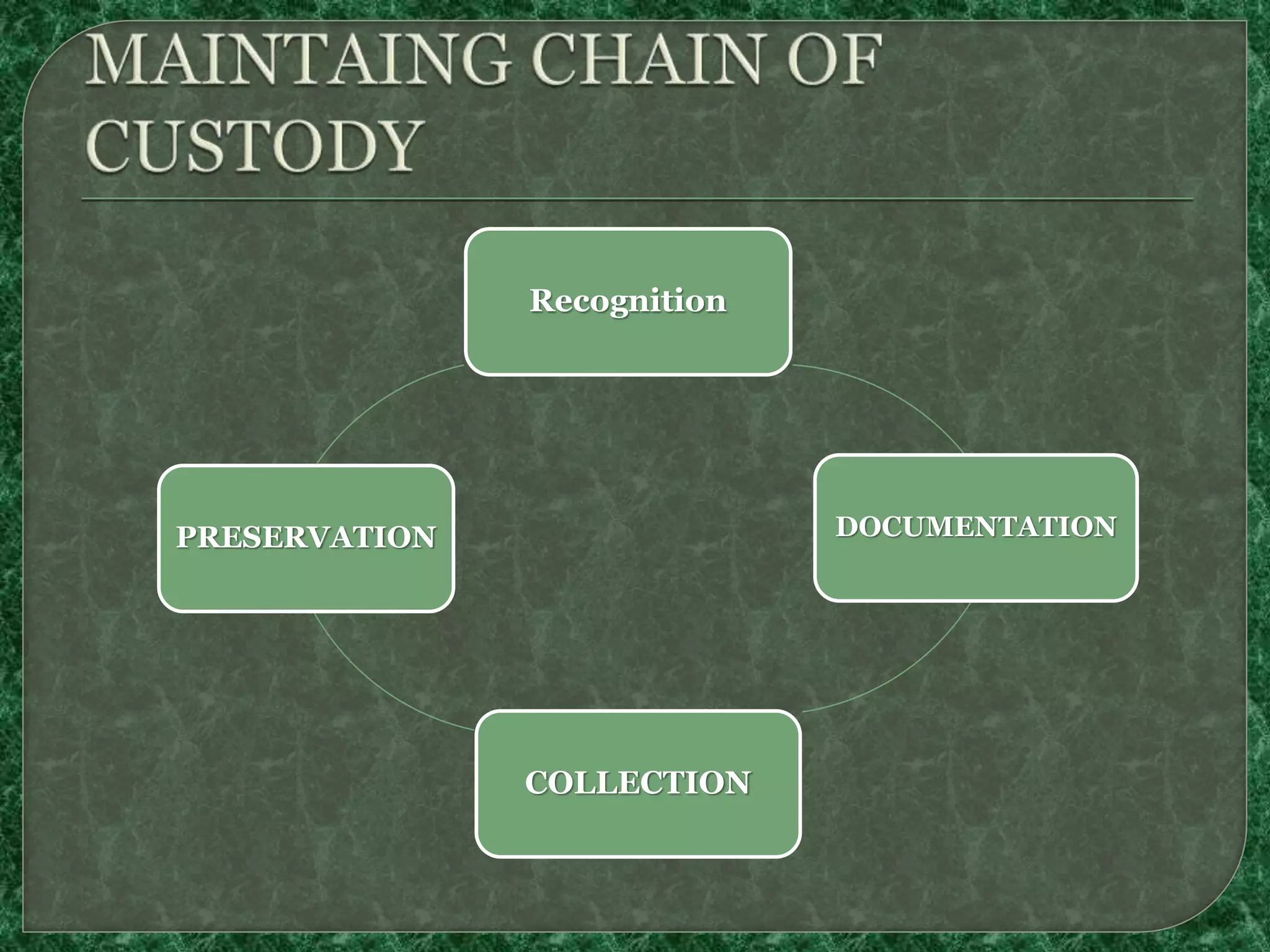 Botanical evidences | PPTX