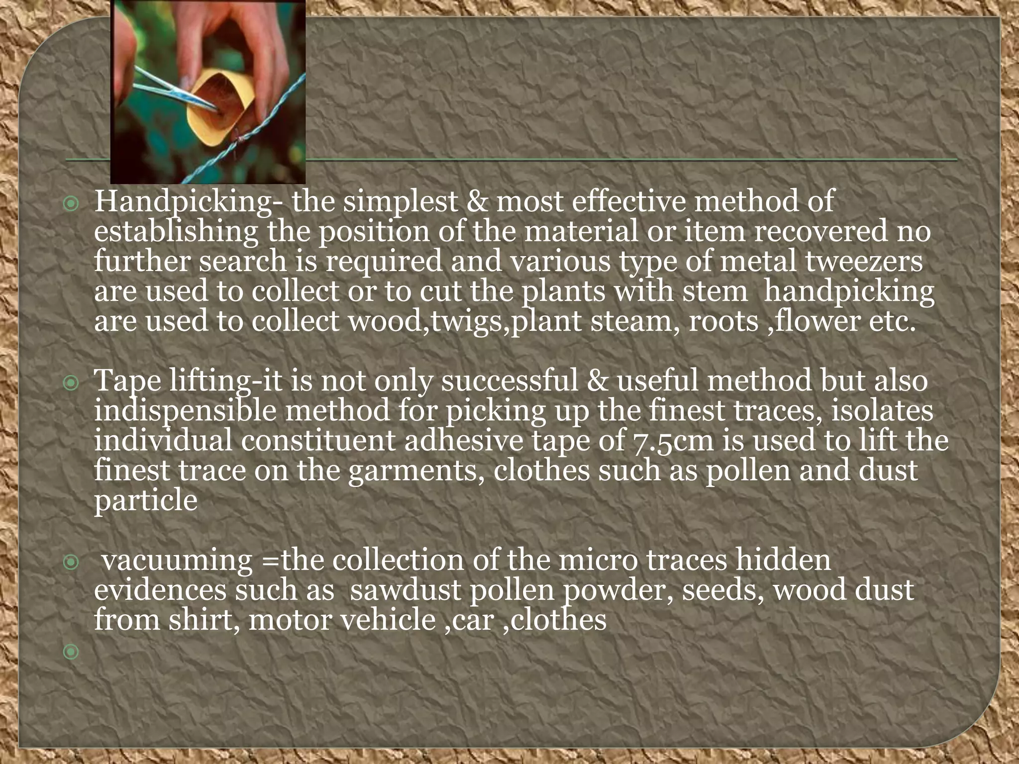 Botanical evidences | PPTX