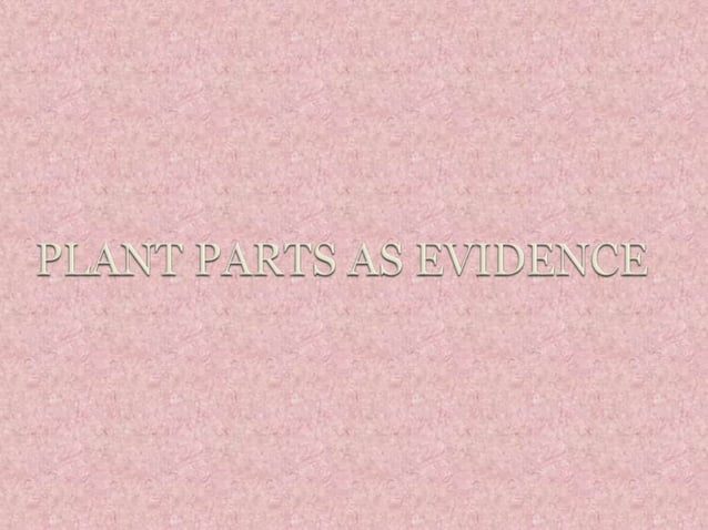Botanical evidences | PPTX | Woodworking | Arts and Crafts