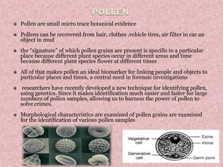 Botanical evidences | PPTX