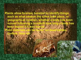 Botanical evidences | PPTX