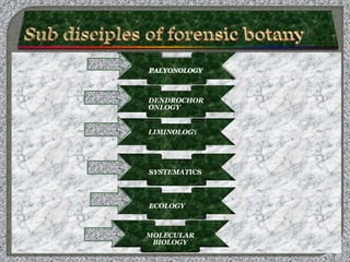 Botanical evidences | PPTX