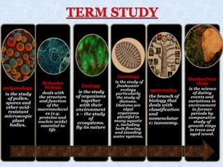 Botanical evidences | PPTX
