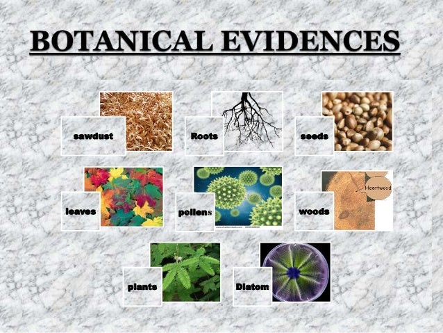 Botanical evidences