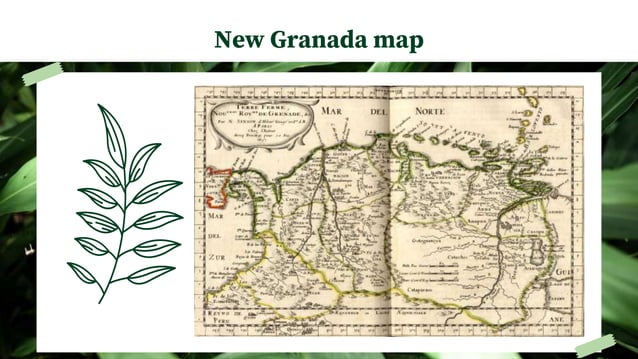 Botanical expedition | PPT