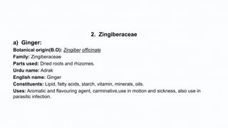 BOTANICAL FAMILIES.pptx