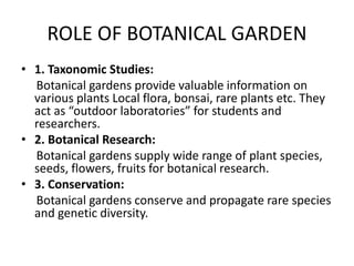 Botanical garden, 19 9-20 | PPTX