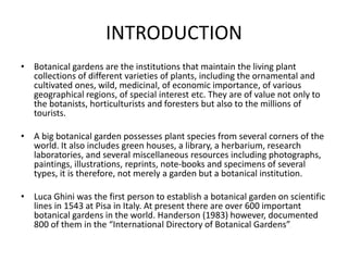 Botanical garden, 19 9-20 | PPTX