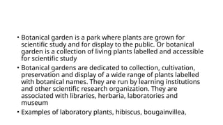 BOTANICAL GARDENS AND THEIR IMPORTANCEpptx | PPTX