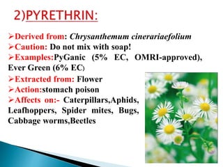 botanicalinsecticides biopesticides for insect control | PPTX