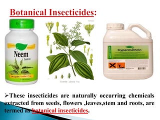 botanicalinsecticides biopesticides for insect control | PPTX