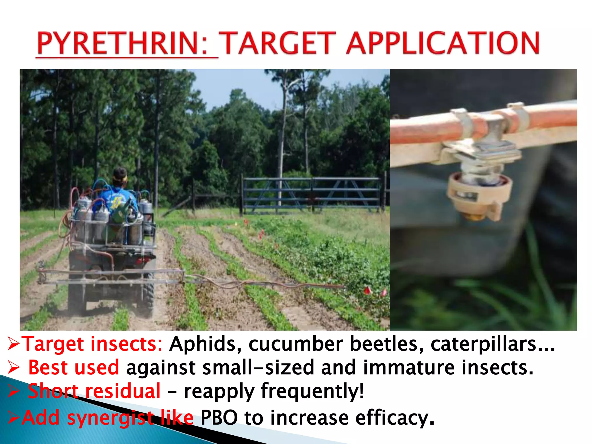 Botanical insecticides | PPTX