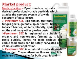Botanical insecticides | PPTX